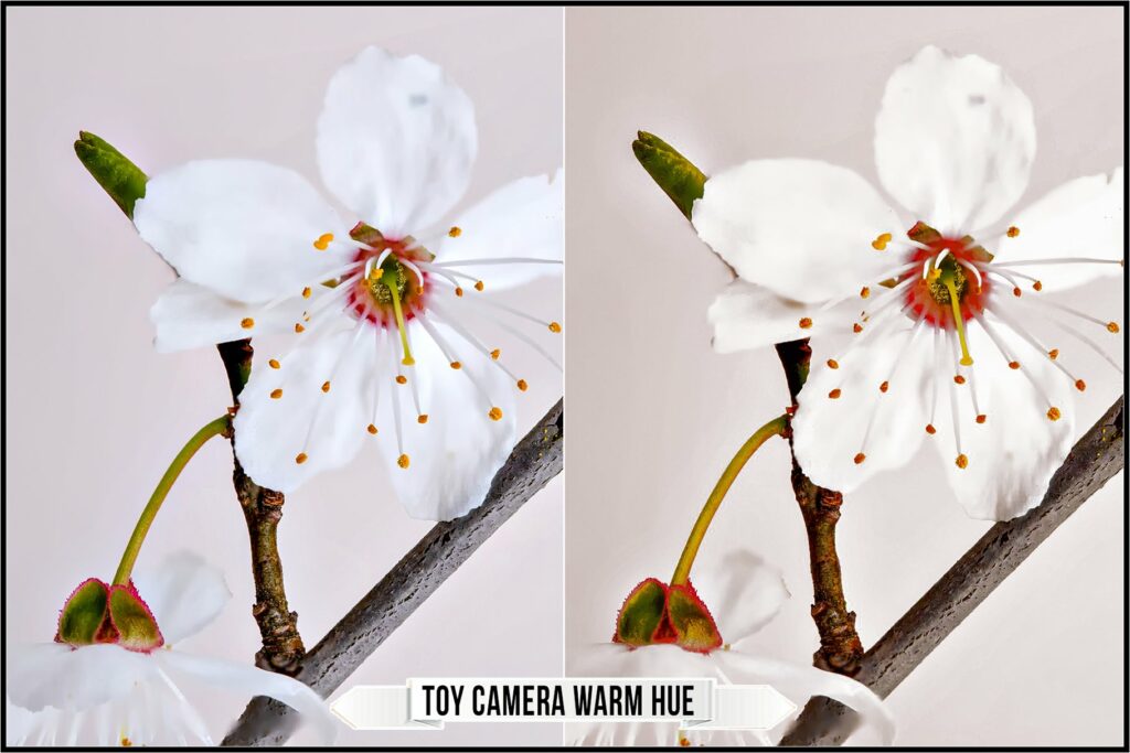 Sony Picture Effects Profiles – MasterBundles