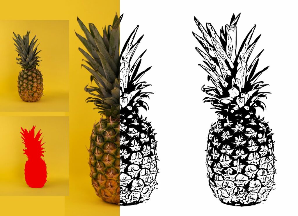 Photo Tracing – MasterBundles