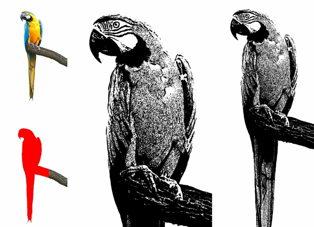 Tracing Art – MasterBundles