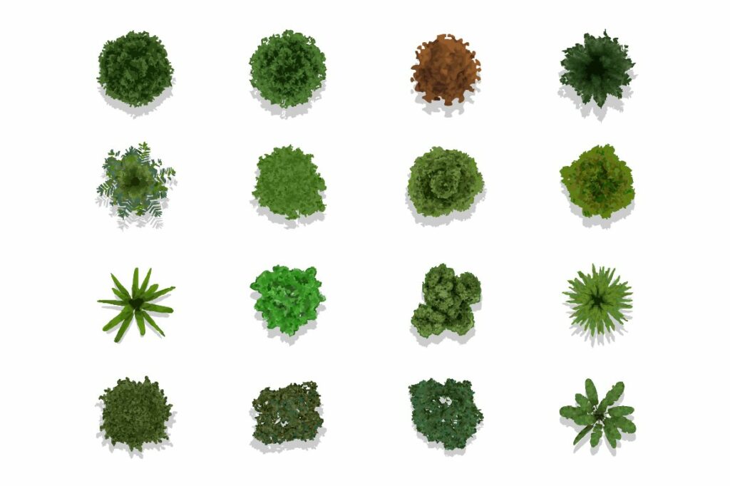 72 Vector Trees Top View – MasterBundles