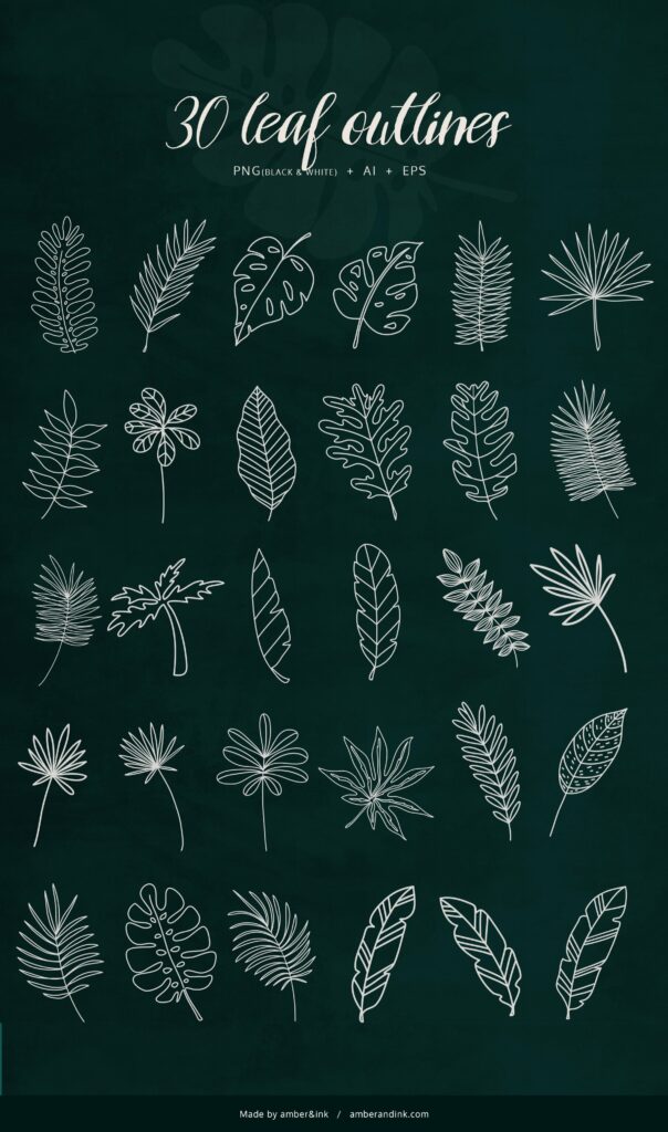 Tropical Leaves & Patterns – MasterBundles