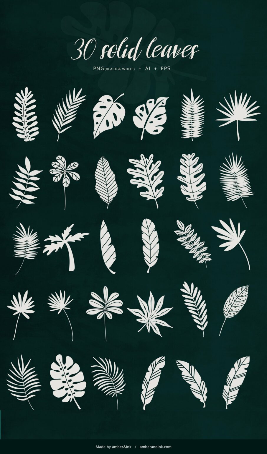 Tropical Leaves & Patterns – MasterBundles