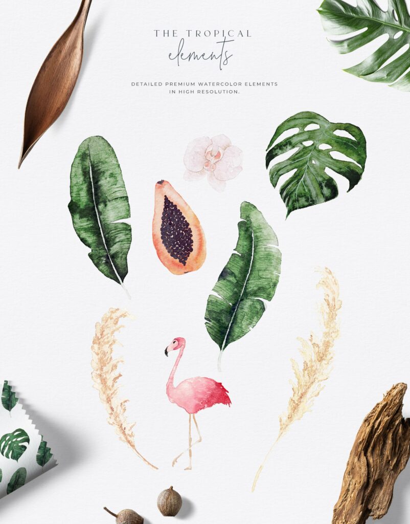 Tropical Summer Wedding Watercolor – MasterBundles