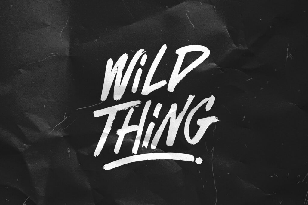 True Marker Font – MasterBundles