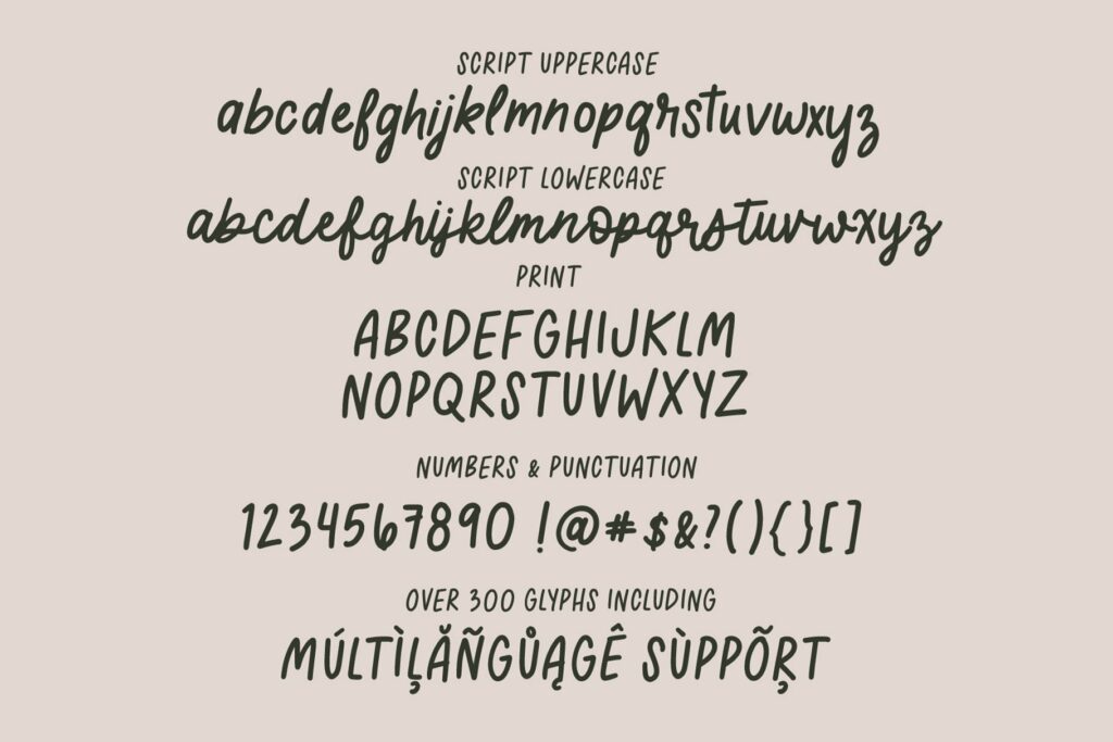 San Clemente Font Duo – MasterBundles