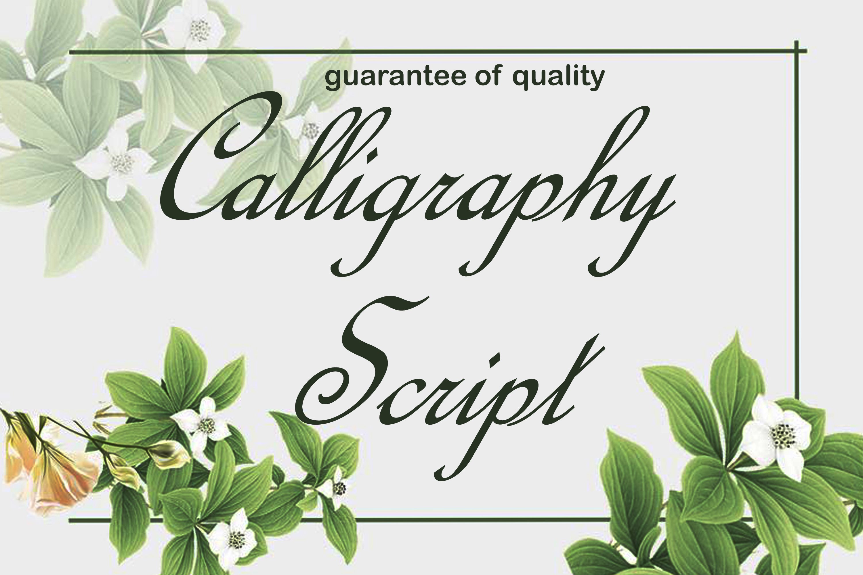 Calligraphy Script Font MasterBundles