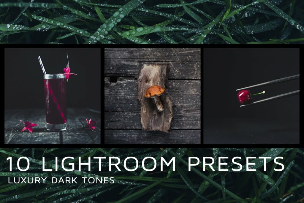 10 Dark tones presets for Lightroom – MasterBundles