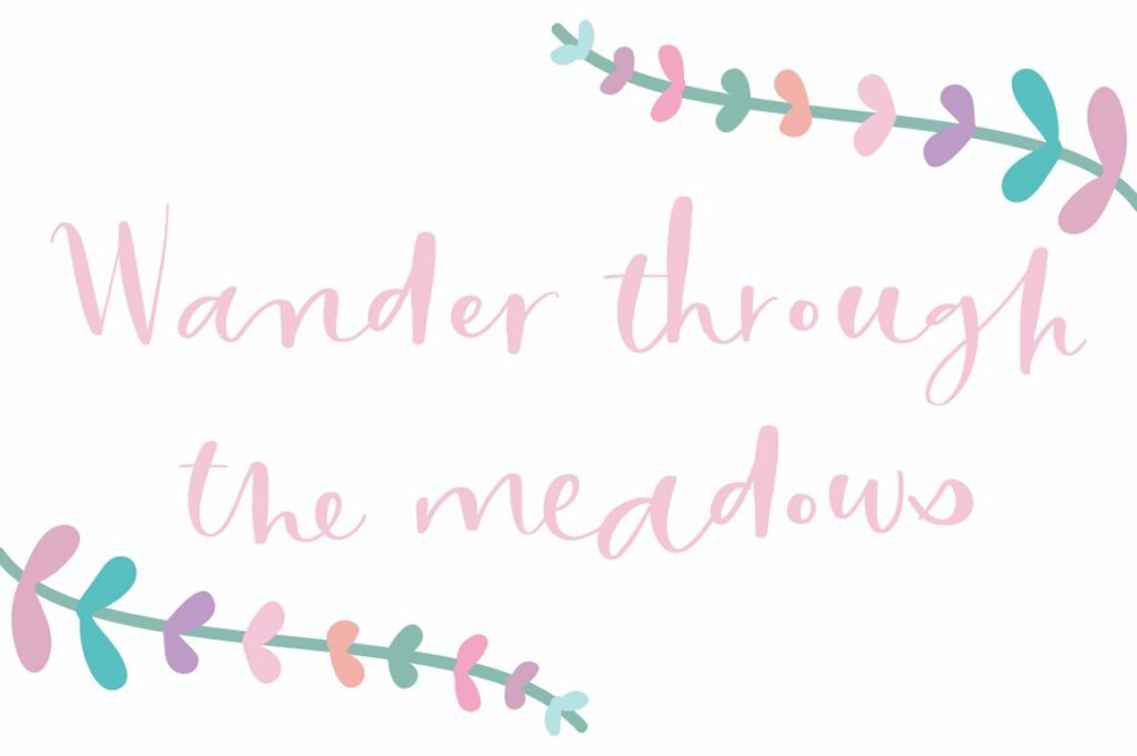 Calla Script – MasterBundles