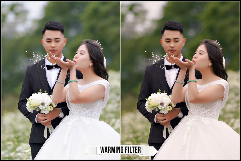 Nikon Special Effects Modes profiles – MasterBundles