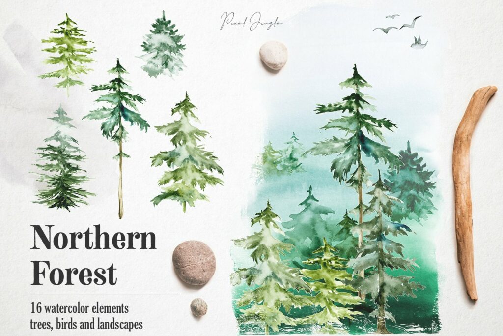 Northern Forest - 16 design elements – MasterBundles