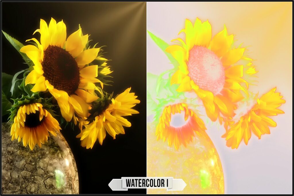 OM System & Olympus Art Filters – MasterBundles