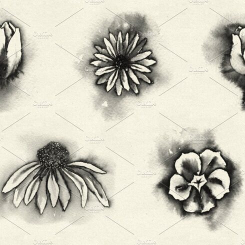 Watercolor Flowers Brush Pack 1 – MasterBundles