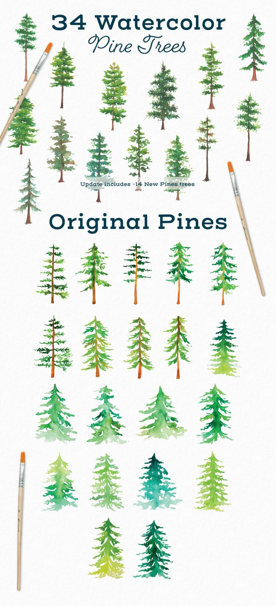 Watercolor Pine Tree Elements – MasterBundles