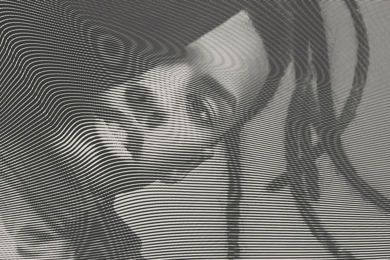 Wavy Lines Photo Effect – MasterBundles