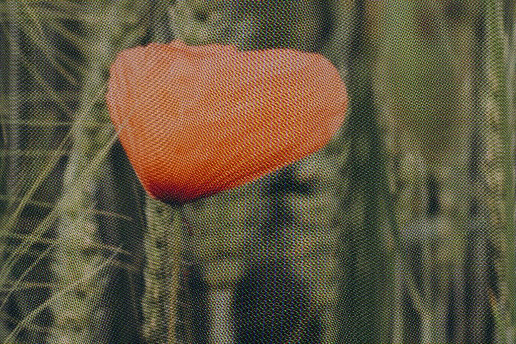 Wavy TV Static: Poster Effect – MasterBundles