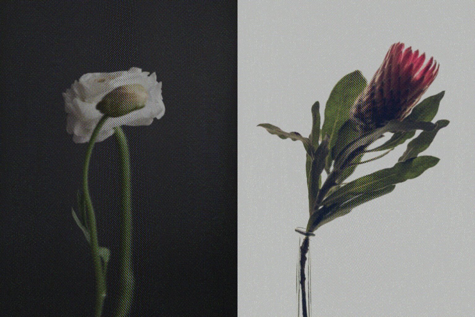 Wavy TV Static: Poster Effect – MasterBundles