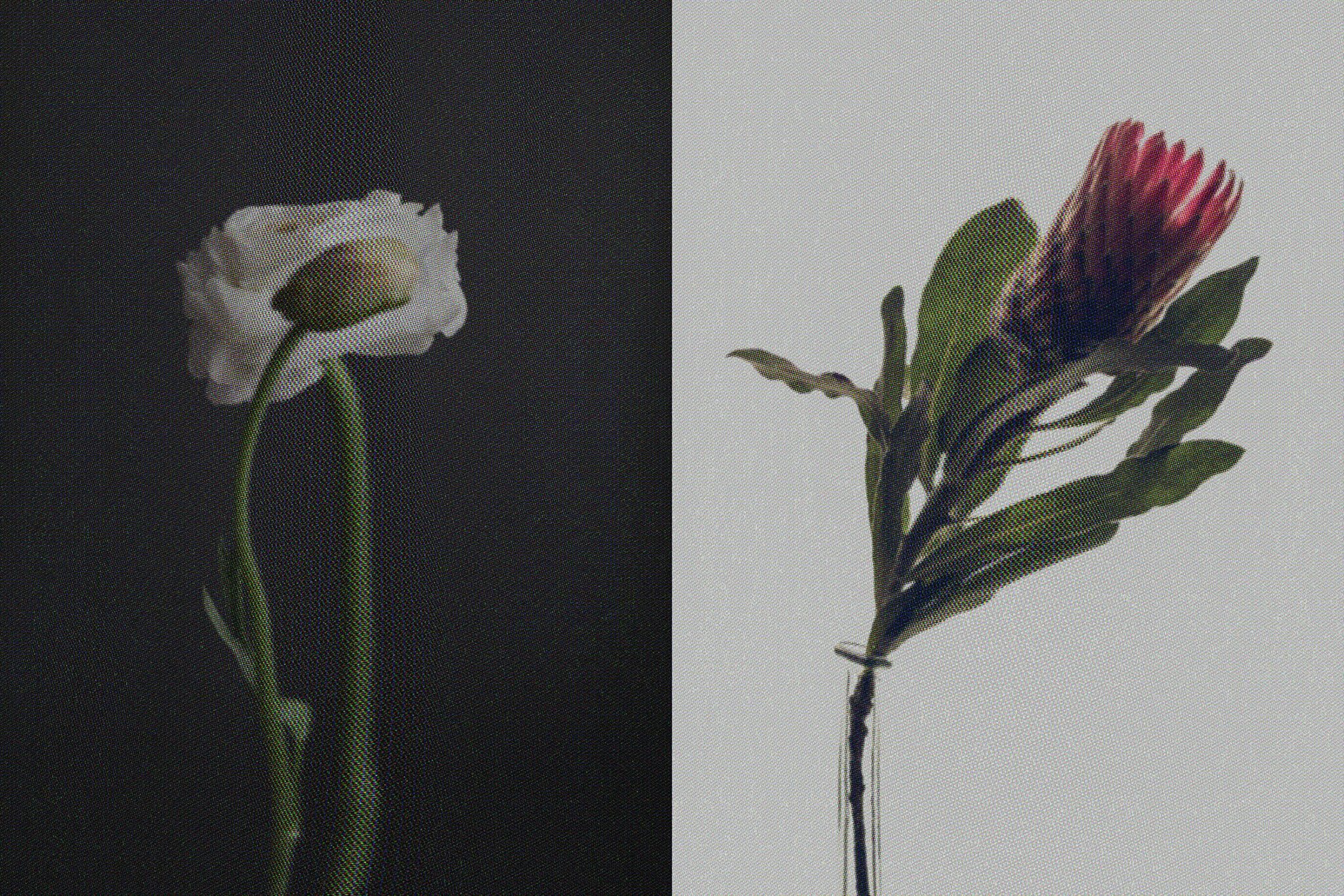 Wavy TV Static: Poster Effect – MasterBundles