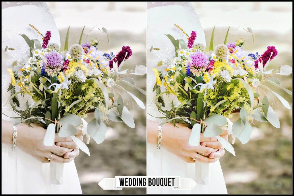 Incredible Flowers Profiles – MasterBundles