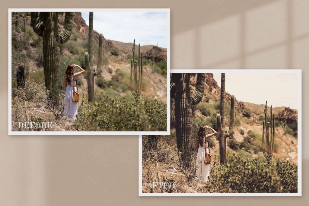Western Lightroom Photoshop LUTs – MasterBundles