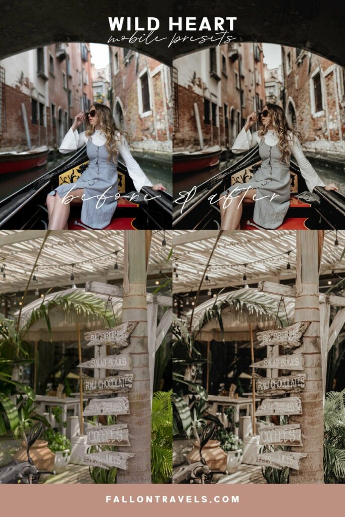 Wild Heart Mobile Presets – MasterBundles