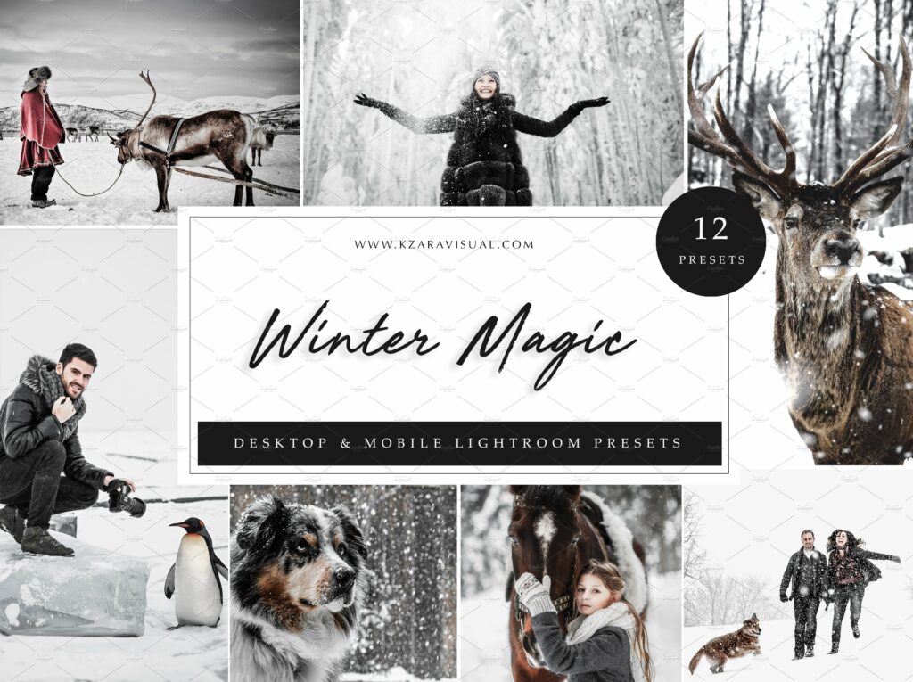 12 x Lightroom Presets, Winter Magic – MasterBundles
