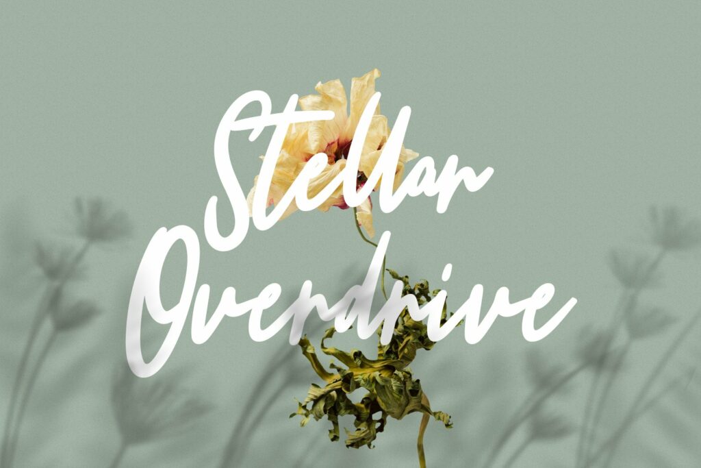 Winterstein Script Brush Font – MasterBundles