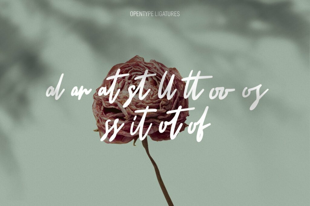 Winterstein Script Brush Font – MasterBundles