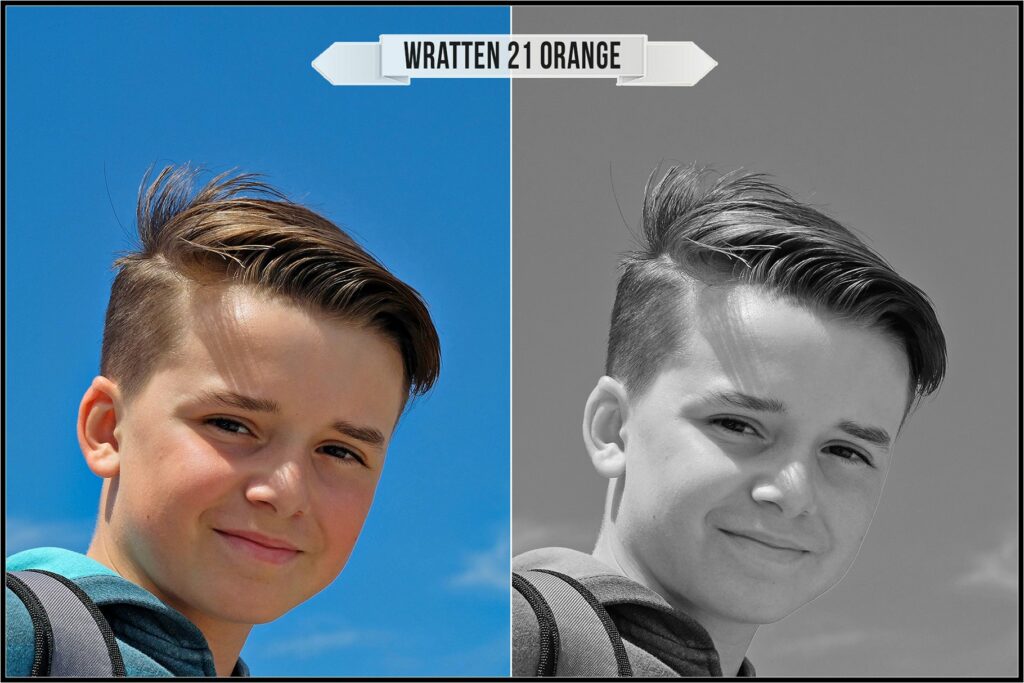 Lens Black & White Filters Profiles – MasterBundles