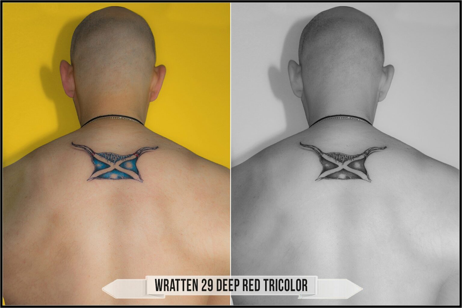 Lens Black & White Filters Profiles – MasterBundles