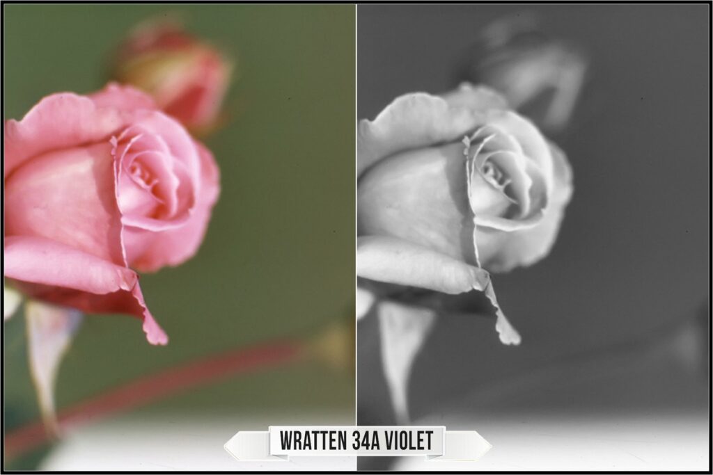 Lens Black & White Filters Profiles – MasterBundles