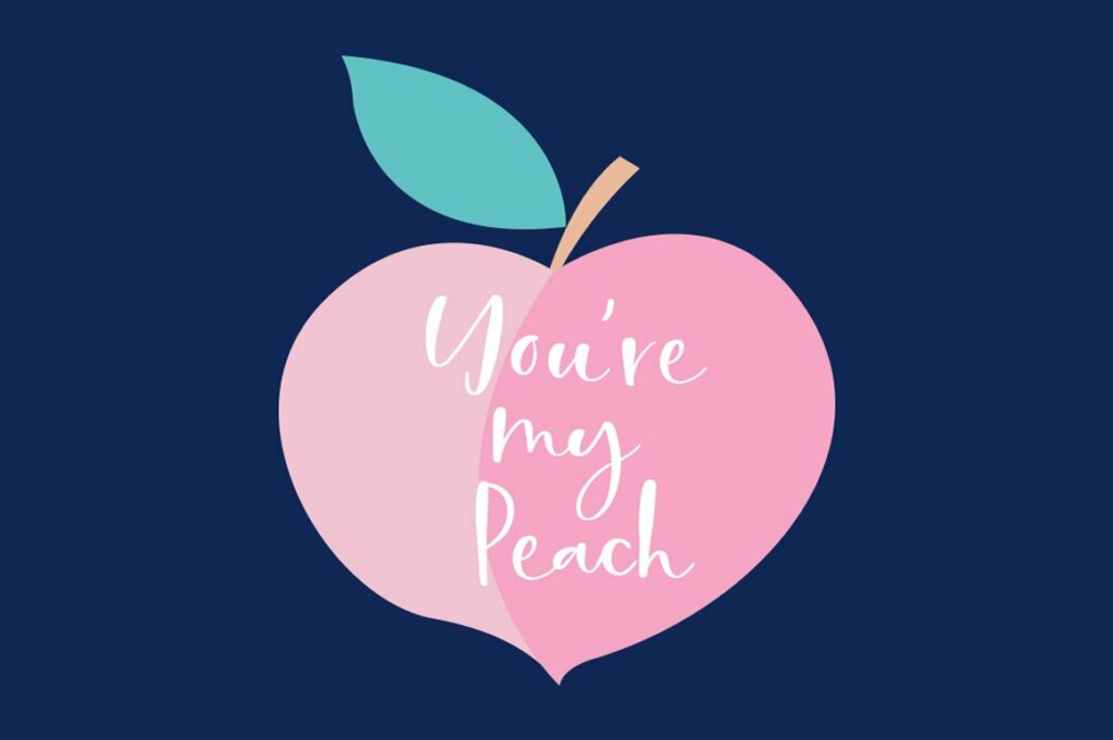 Calla Script – MasterBundles