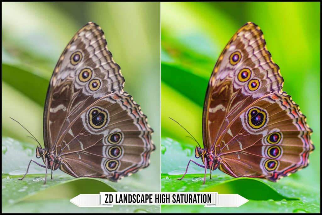 Mamiya Color Modes Profiles LR ACR – MasterBundles