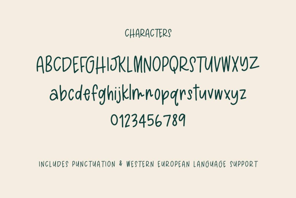 Zeitoon Sans Font – MasterBundles