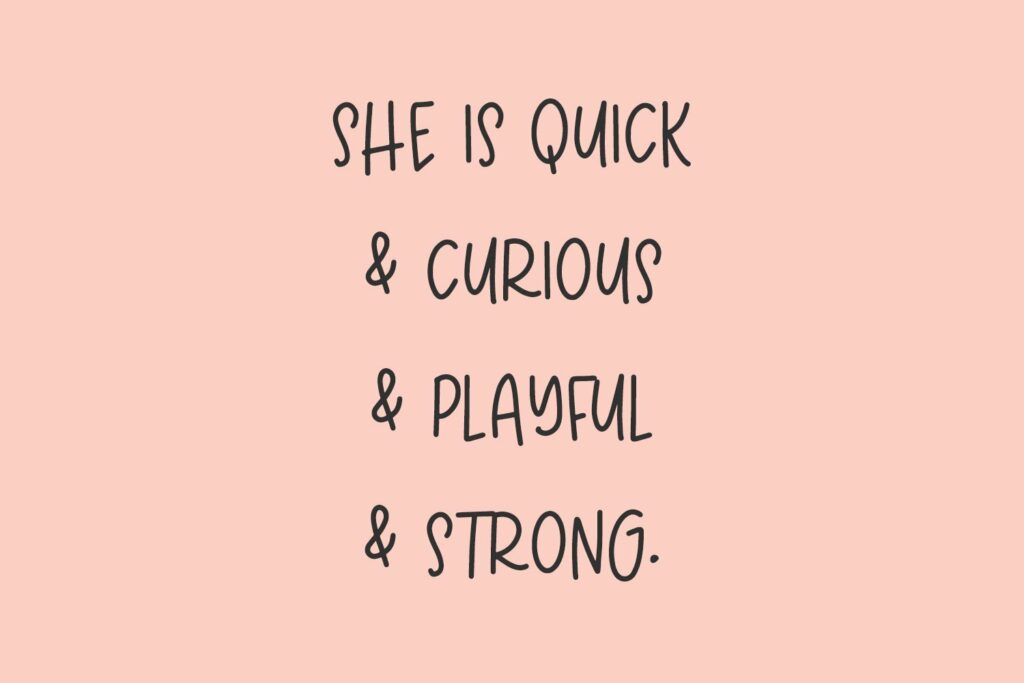 Zeitoon Sans Font – MasterBundles