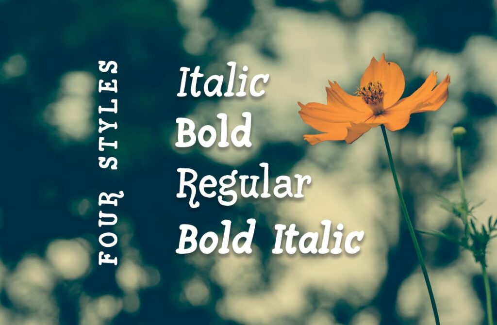 Zoney — Rustic Handmade Typeface – MasterBundles