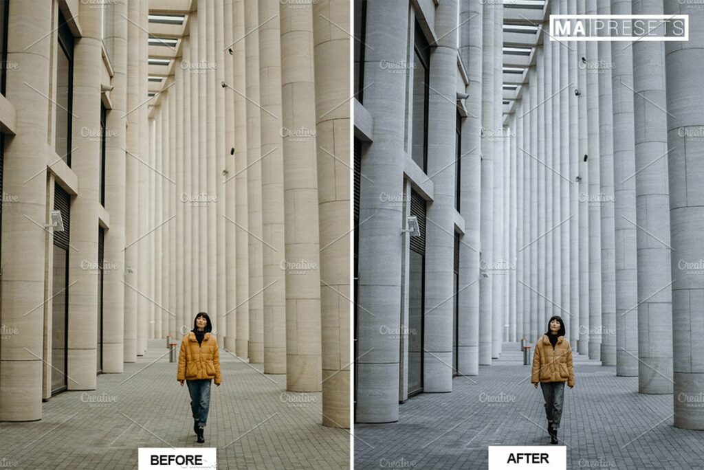 10 Influencer Black Lightroom Preset – MasterBundles