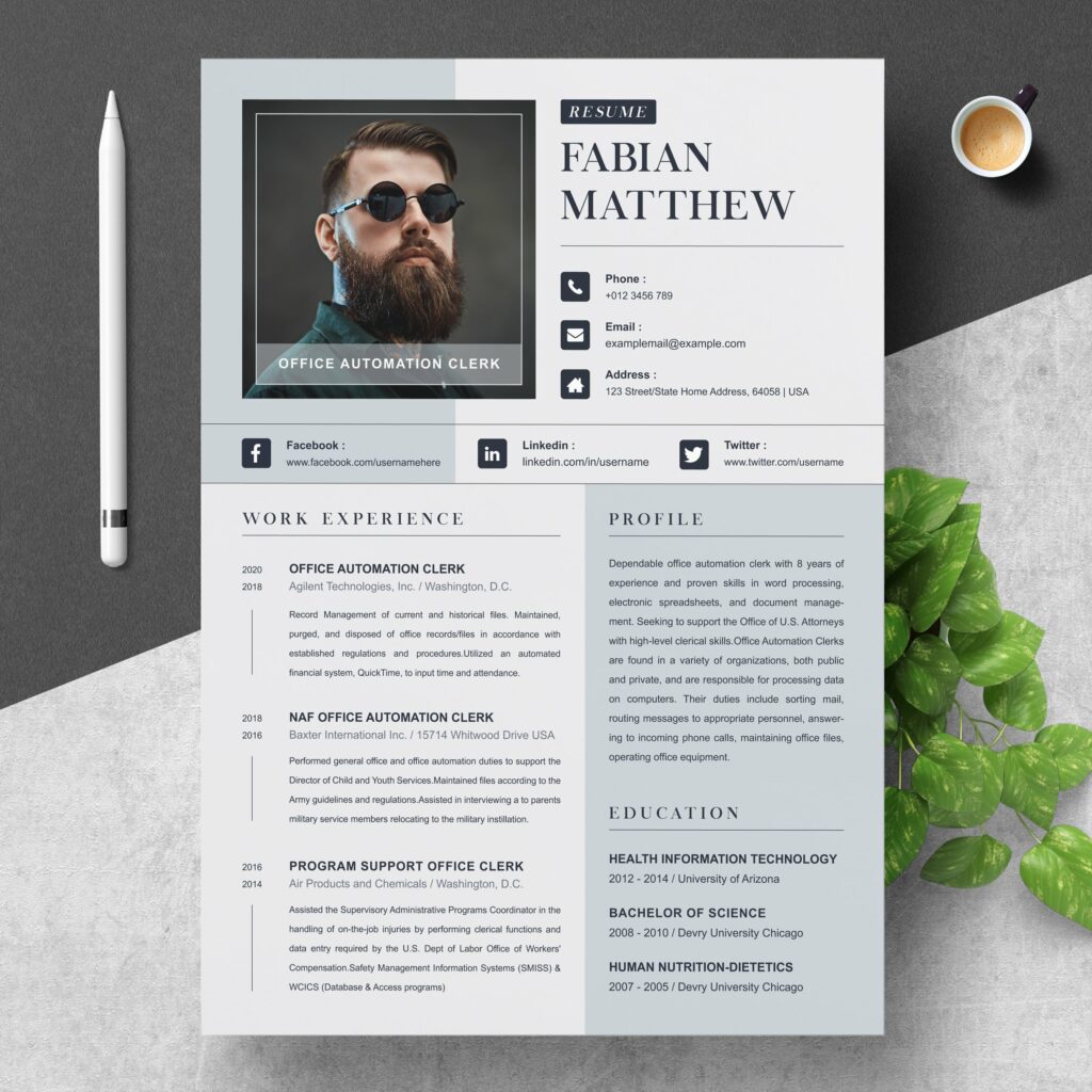 Modern Executive CEO Resume Template – MasterBundles