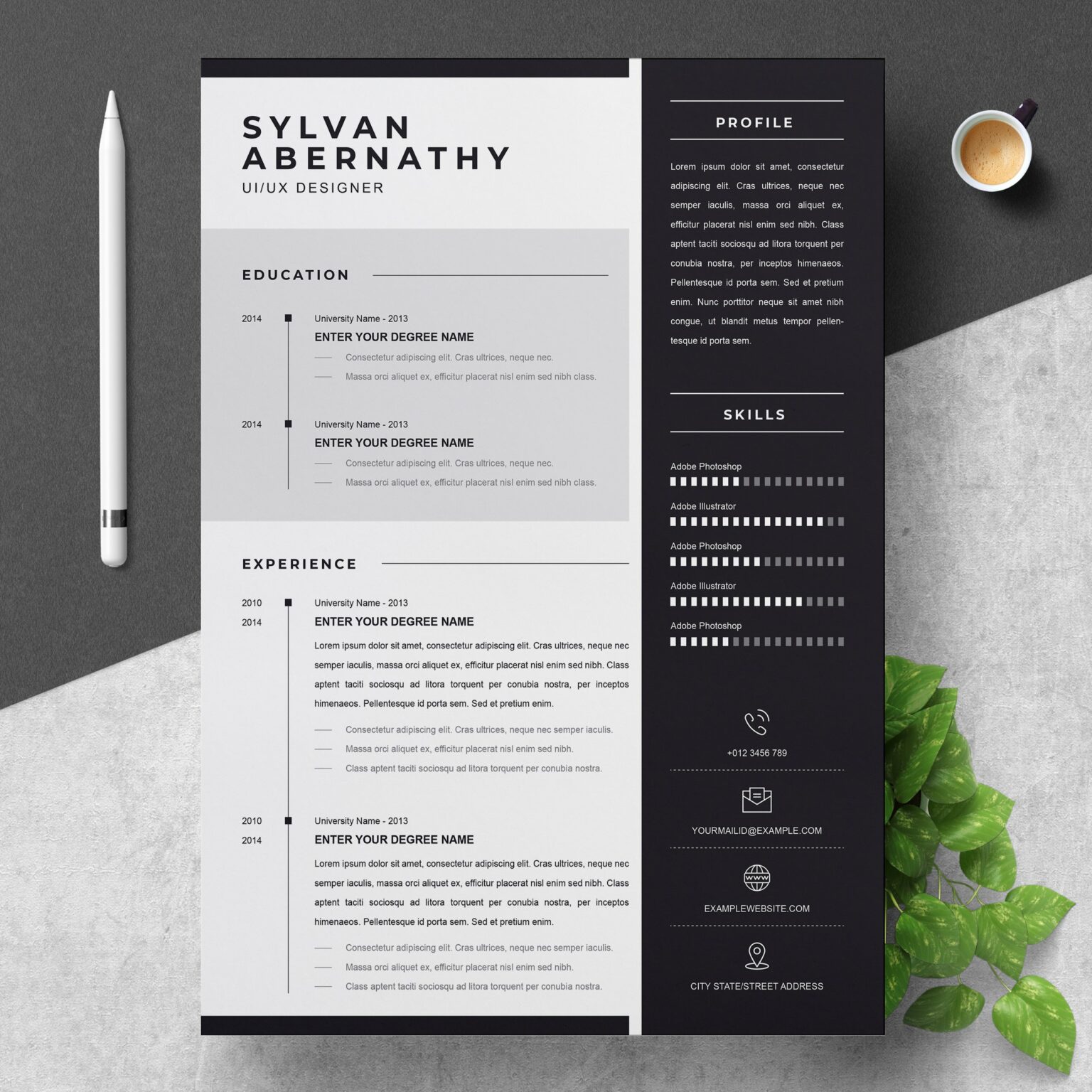 Professional Resume / CV Template – MasterBundles