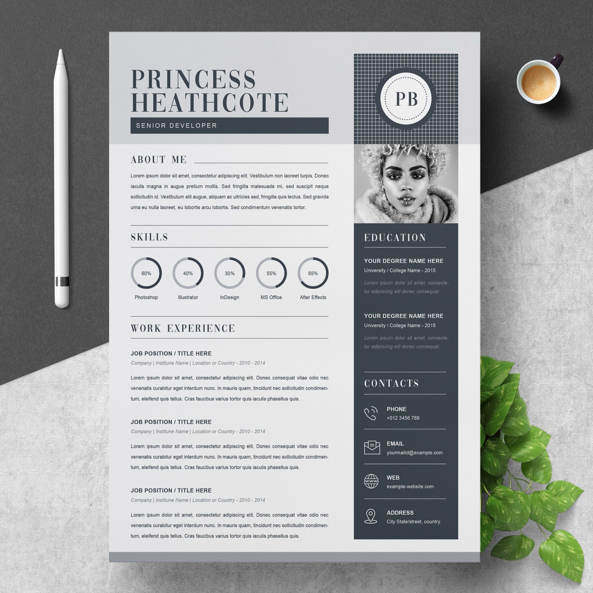 Resume Template For Web Developer – MasterBundles