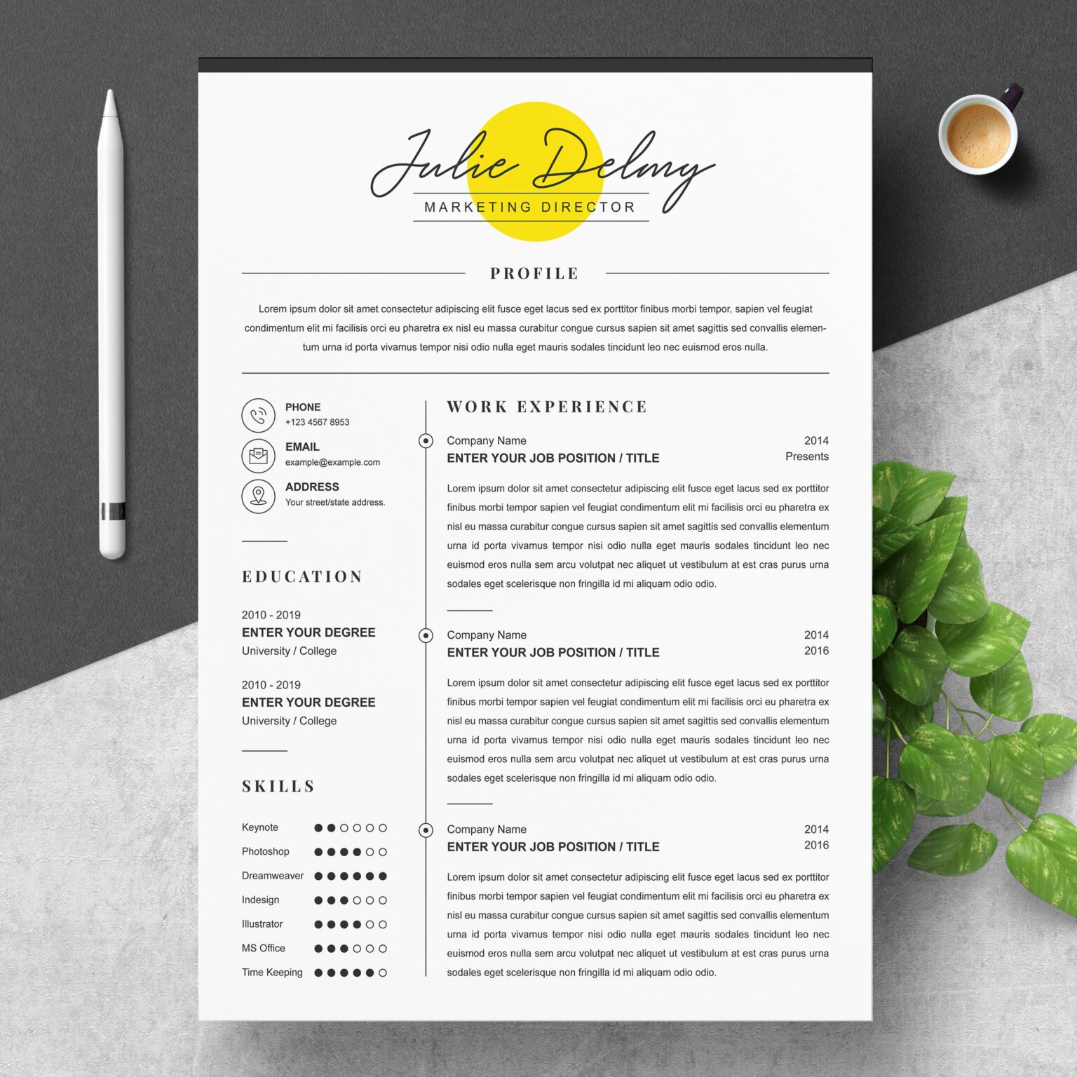 Professional Simple Resume Template – MasterBundles