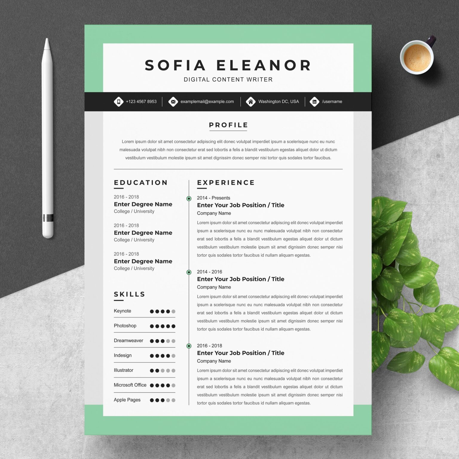 Creative Resume Template Word, CV – MasterBundles