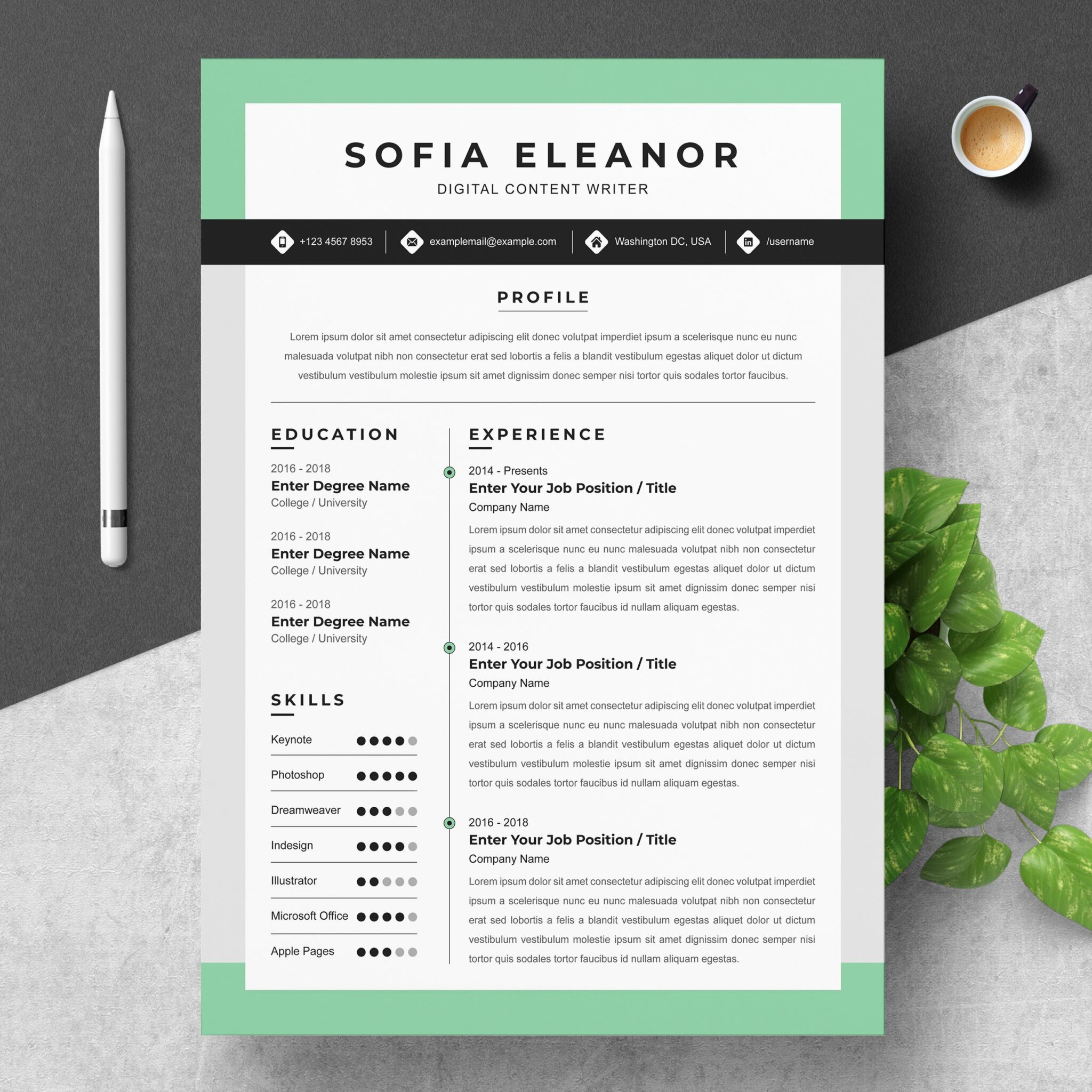 Creative Resume Template Word, CV – MasterBundles