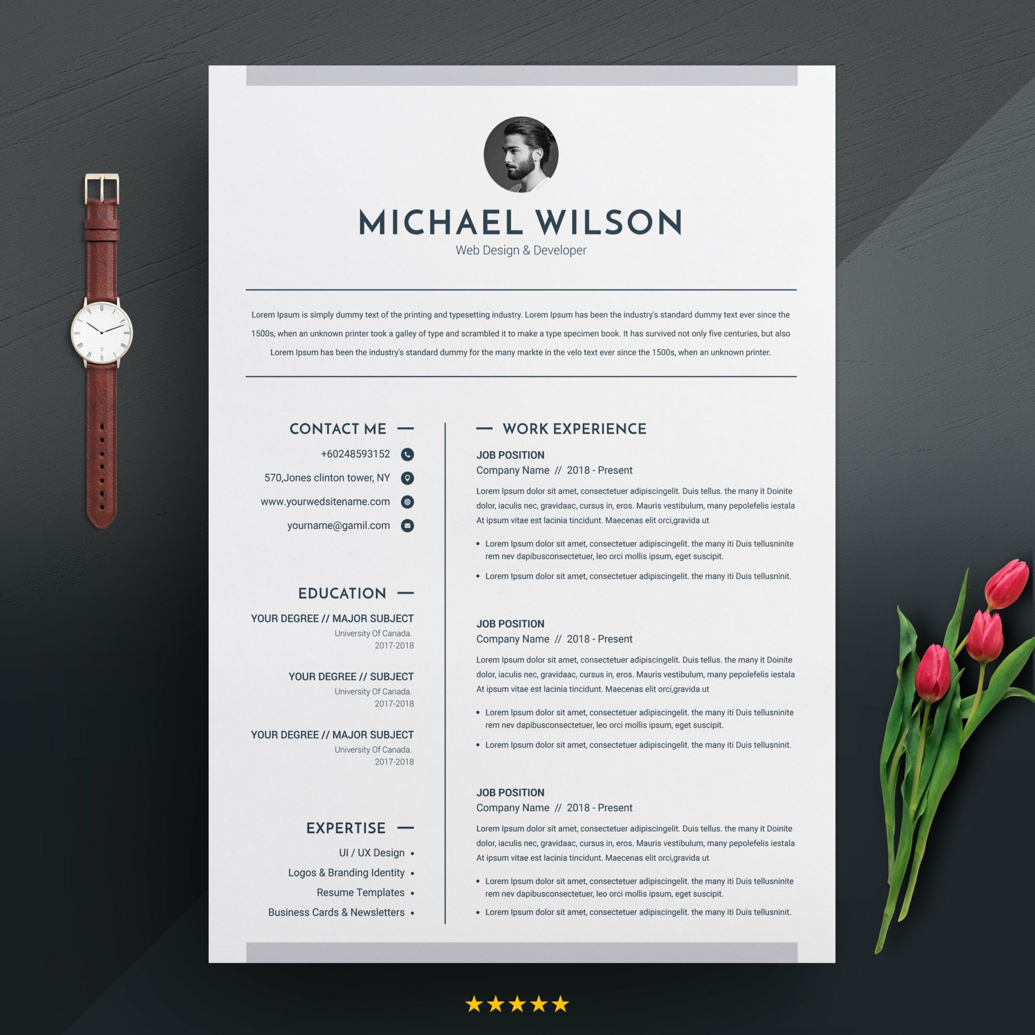 3 Pages Clean CV Template | MS Word – MasterBundles