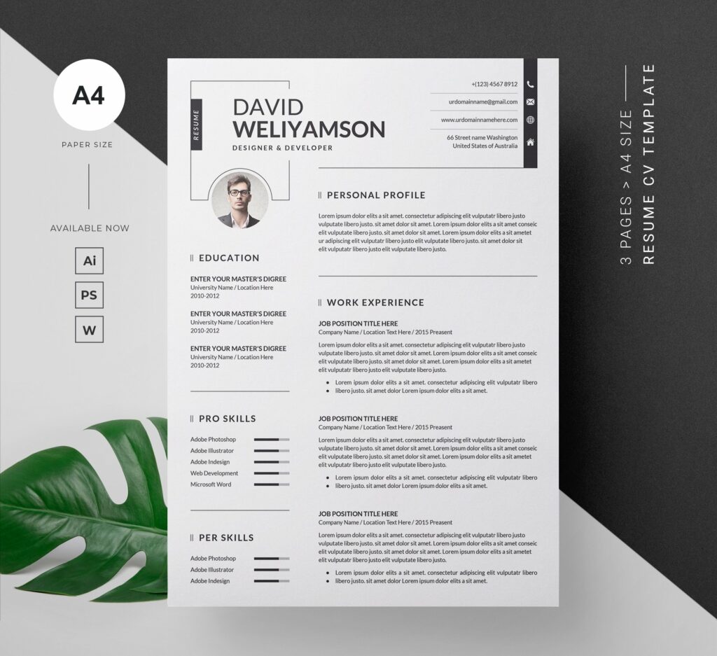 Clean Resume/CV – MasterBundles