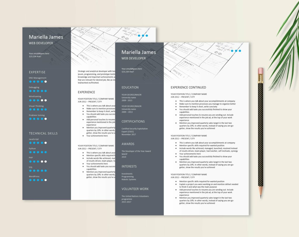 Developer Resume Template | Tech CV – MasterBundles