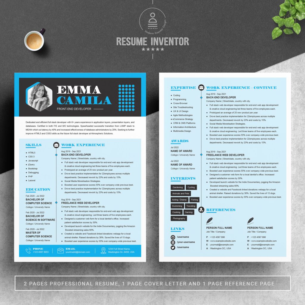 Professional Curriculum Vitae – MasterBundles