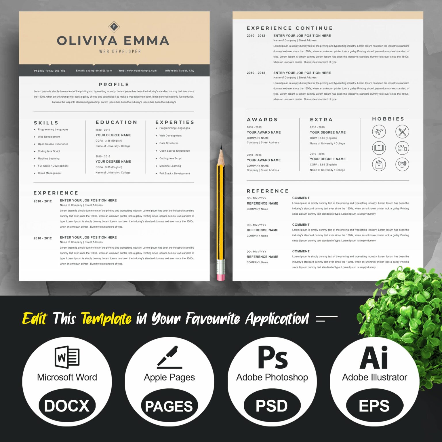 Developer Resume | CV Design 2021 – MasterBundles