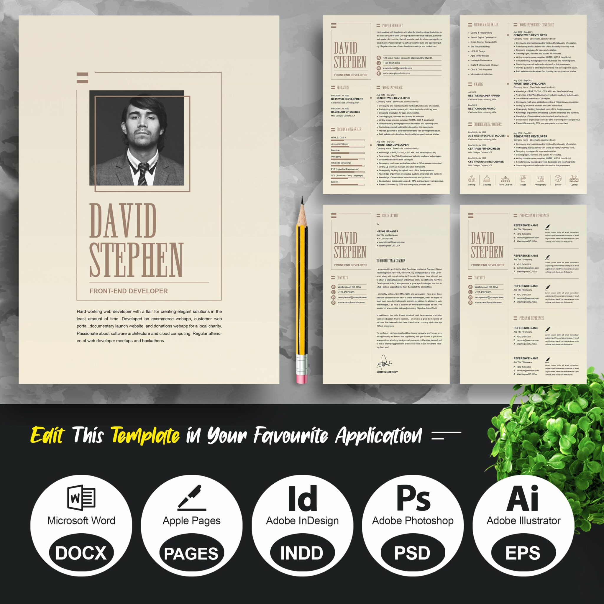 Resume Template Front-End Developer – MasterBundles