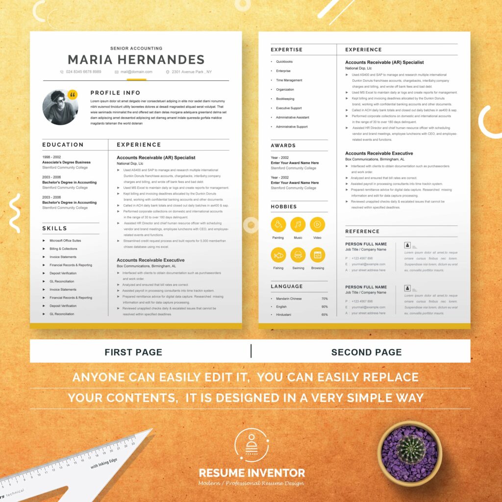 Professional Accountant CV Template – MasterBundles