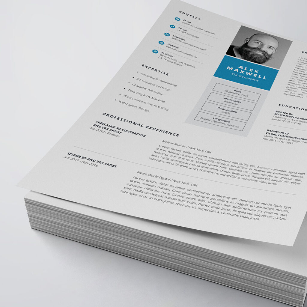 Professional Resume/CV Example - MasterBundles